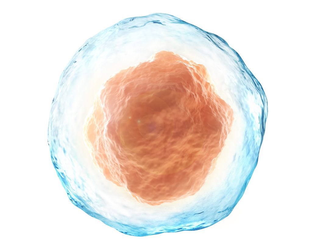 Single Cell Sample Prep and Library Construction | Discovery Life Sciences