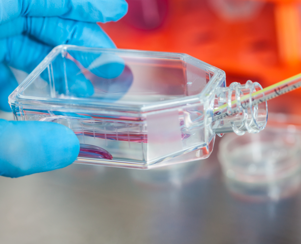 Gentest® Reaction Phenotyping Services | Discovery Life Sciences