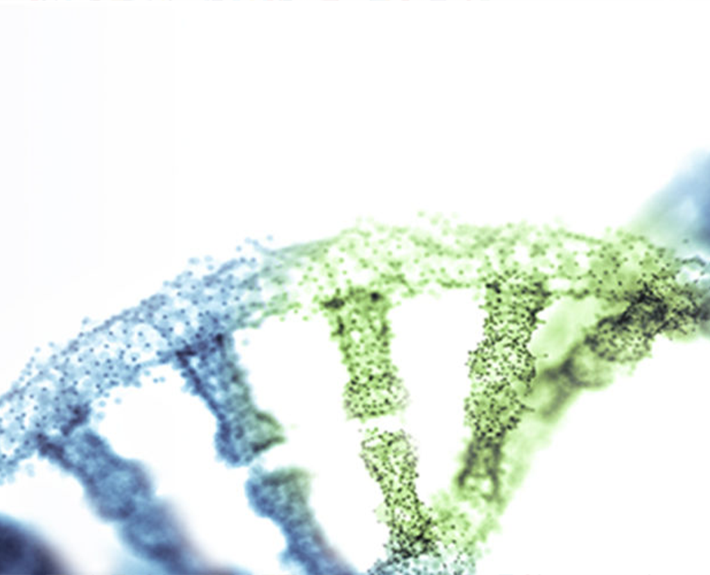Exome & Targeted Sequencing | Discovery Life Sciences