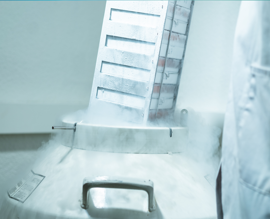 Flash Frozen Tissue With Matched FFPE | Discovery Life Sciences