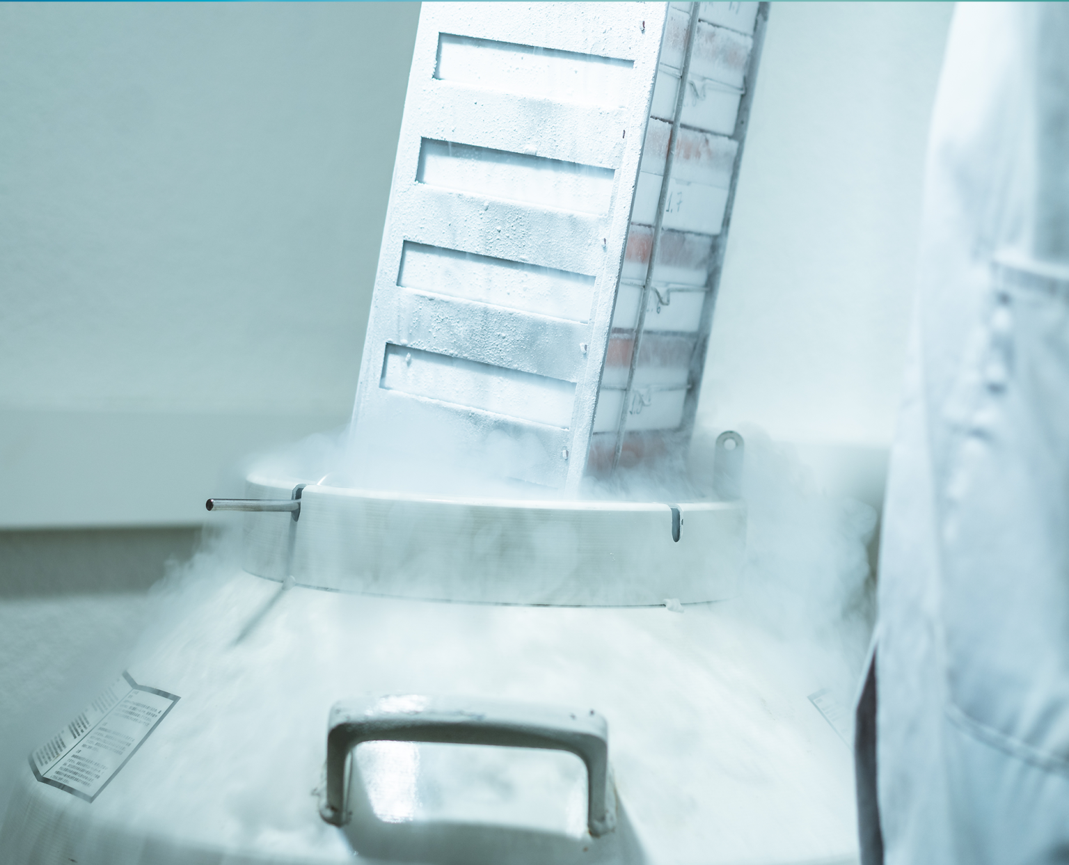 Flash Frozen Tissue With Matched FFPE | Discovery Life Sciences