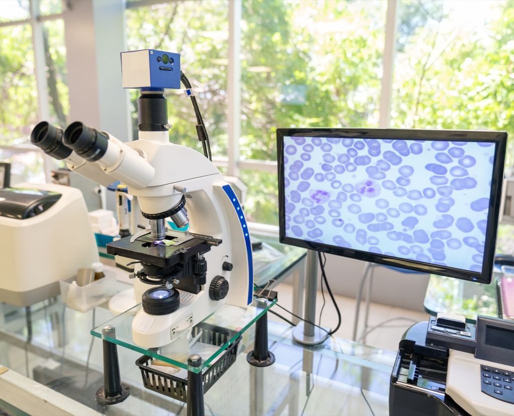 Histology & Digital Pathology | Discovery Life Sciences