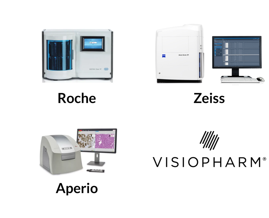 Histology & Digital Pathology | Discovery Life Sciences