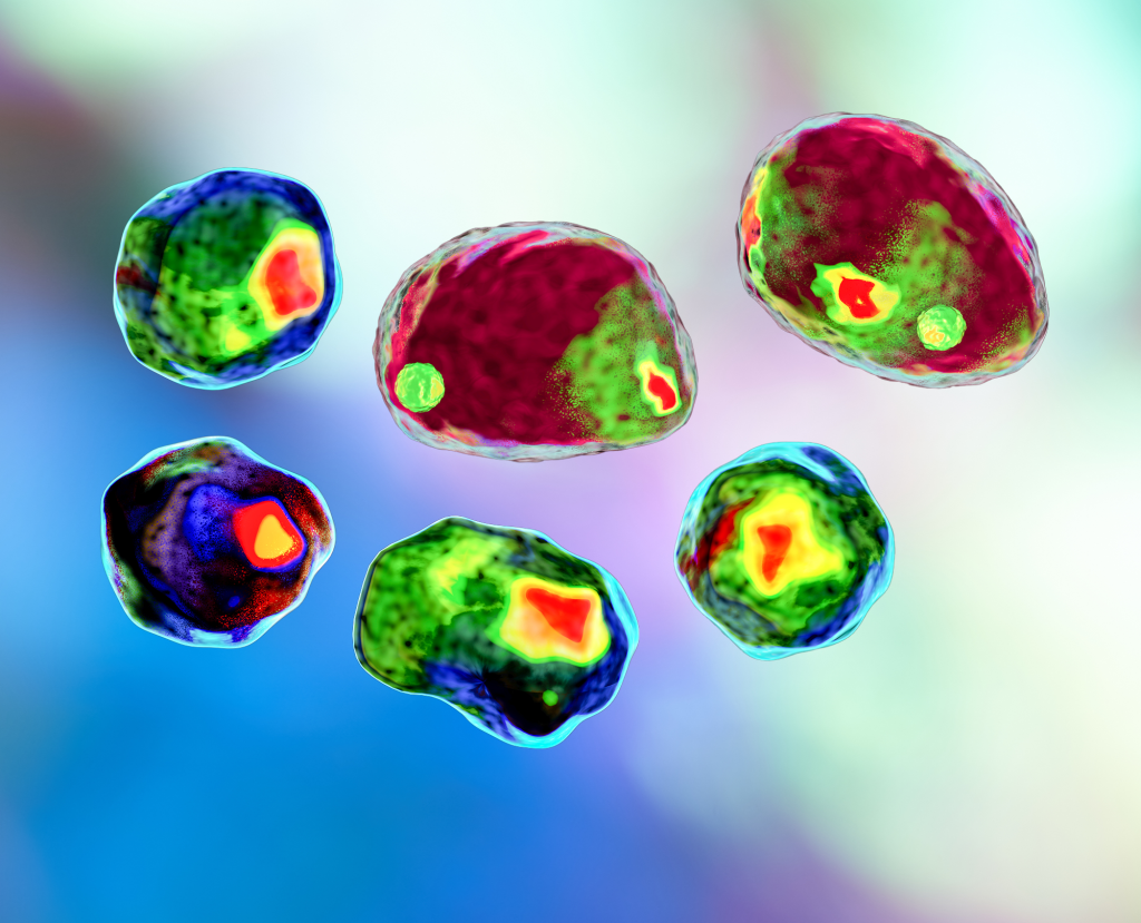 Flow Cytometry & Cell Biology Services | Discovery Life Sciences
