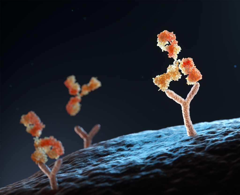 Immunohistochemistry (IHC) Services | Discovery Life Sciences