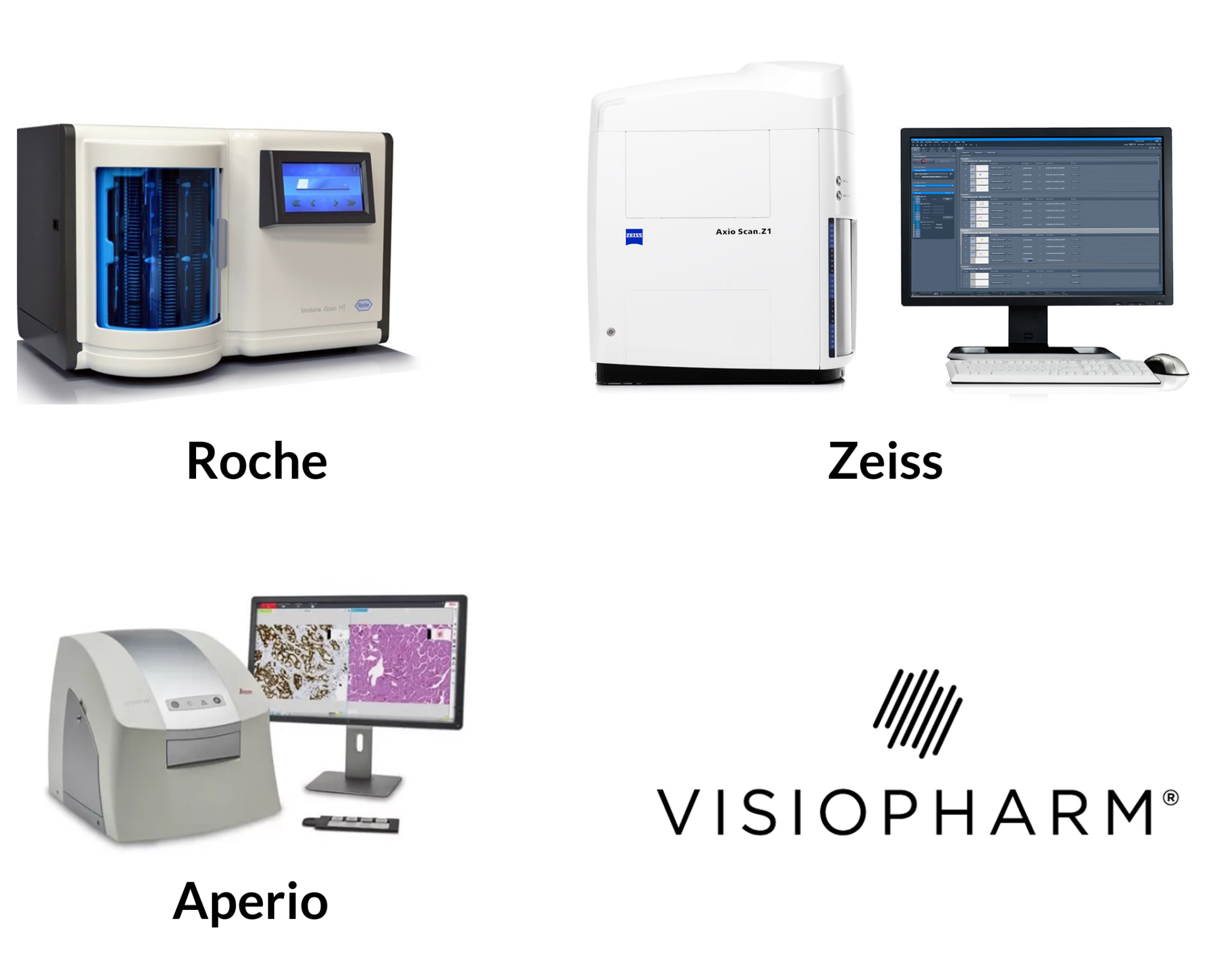 Immunohistochemistry (IHC) Services | Discovery Life Sciences