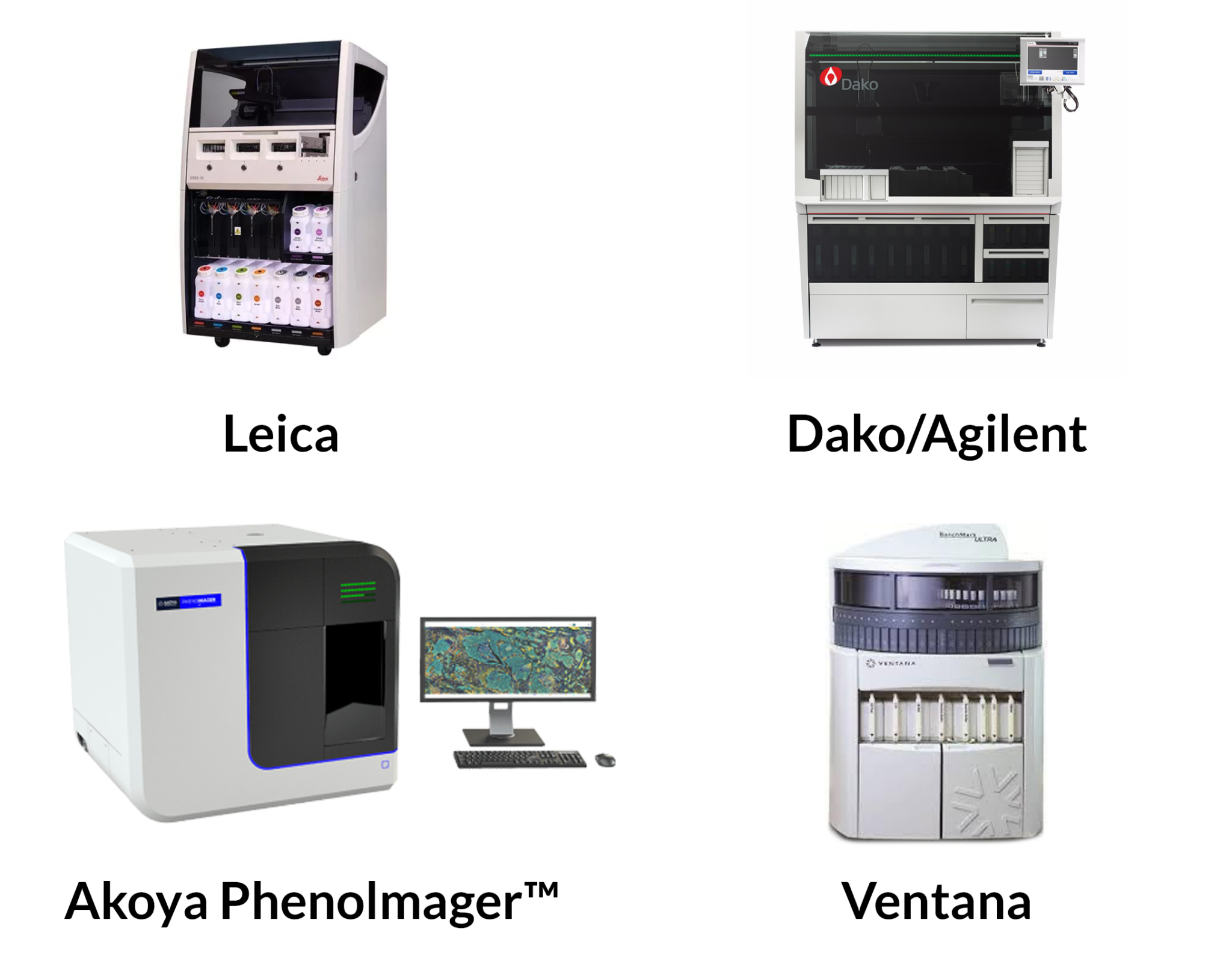 Immunohistochemistry (IHC) Services | Discovery Life Sciences