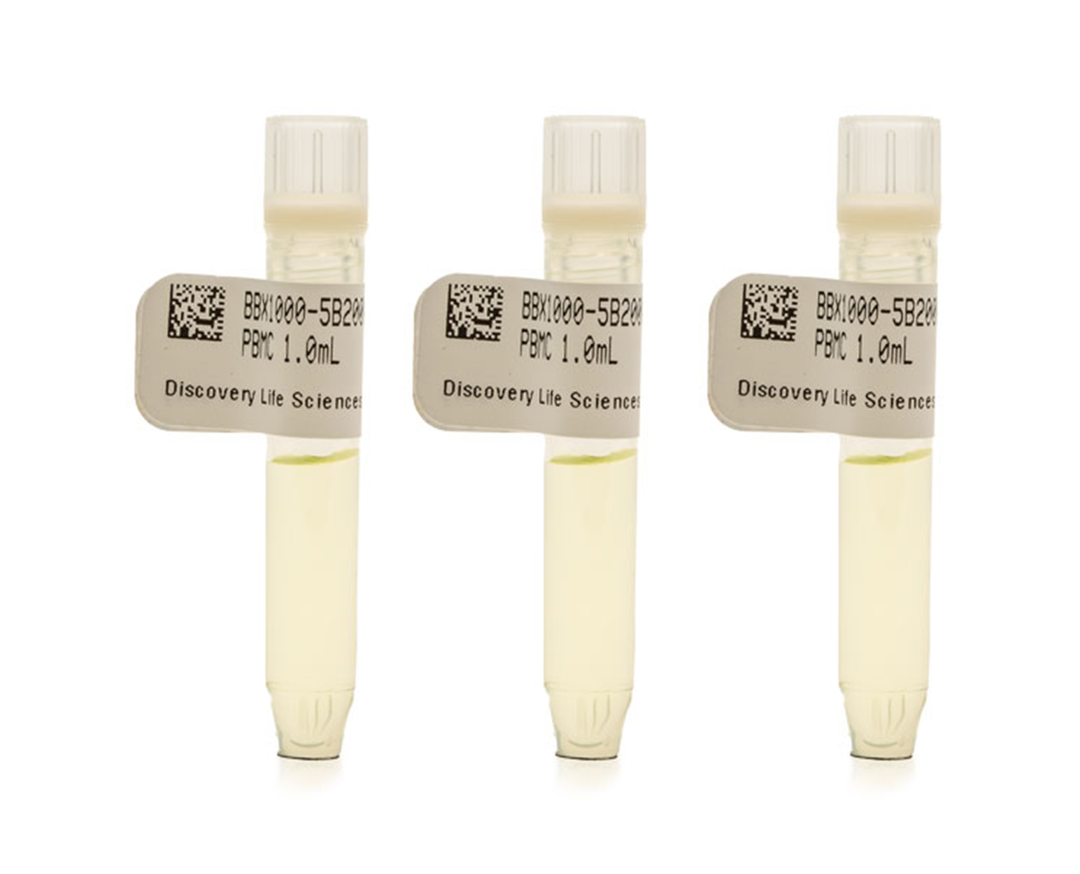 Peripheral Blood Mononuclear Cells (PBMCs) | Discovery Life Sciences