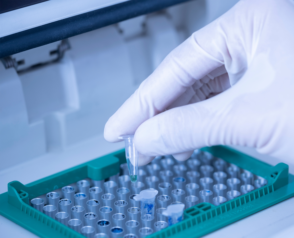 Quantitative Gene Expression Analysis | Discovery Life Sciences