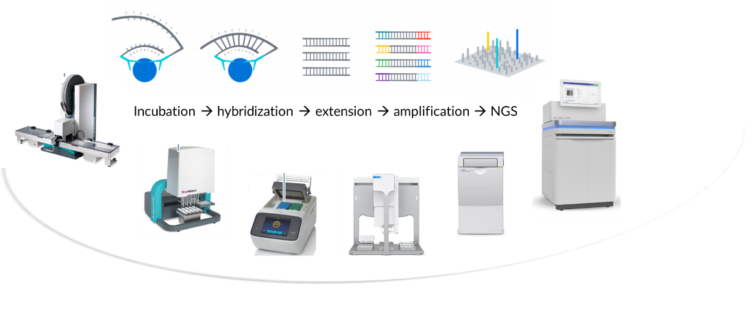 Olink Explore HT - Pushing the Boundaries of Proteomics Exploration ...