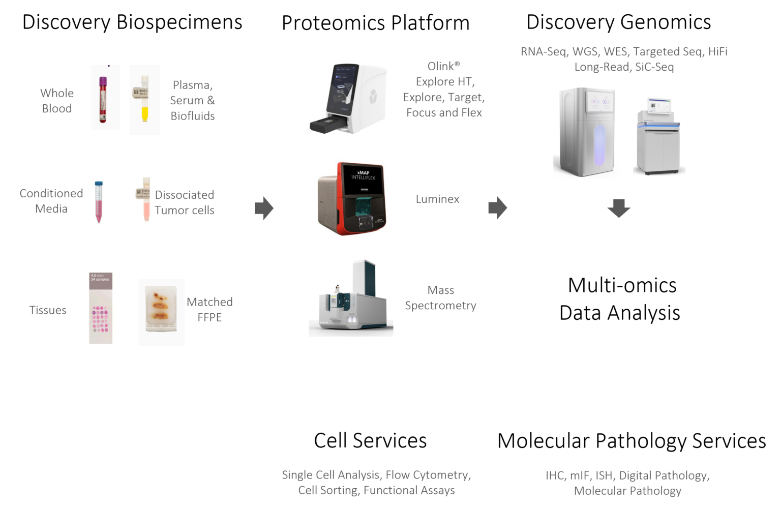 Olink Explore HT - Pushing the Boundaries of Proteomics Exploration | Discovery Life Sciences