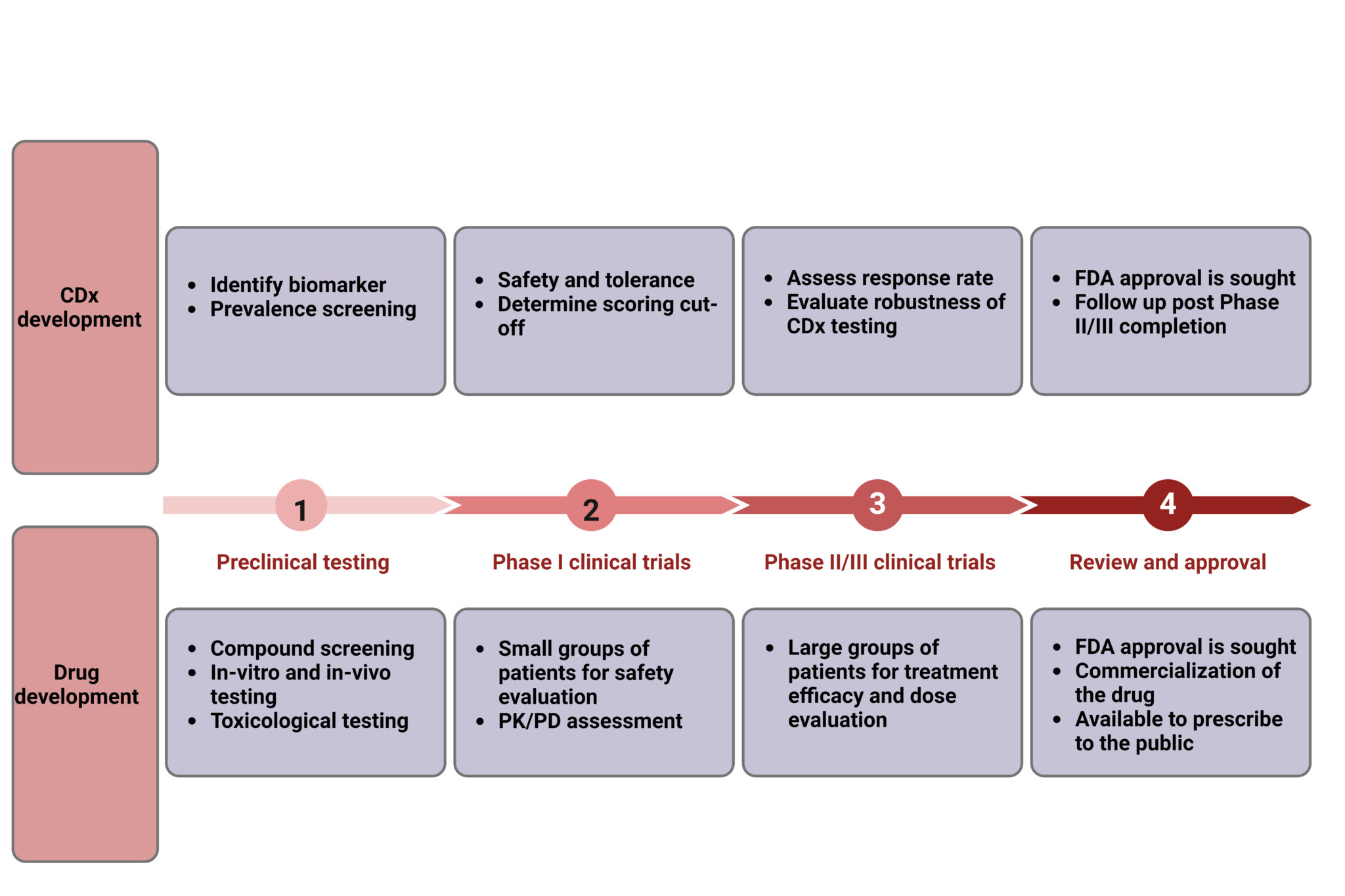 Charting a Path to Accelerating Companion Diagnostic and Drug ...