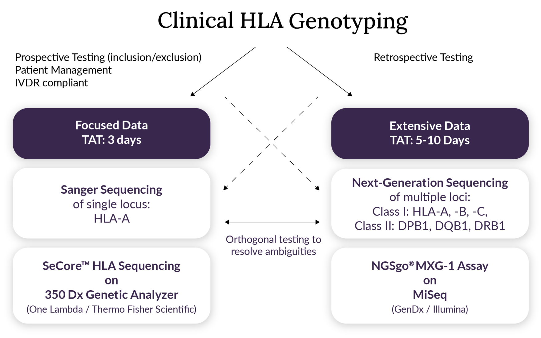 Clinical Trial HLA Typing Services | Discovery Life Sciences